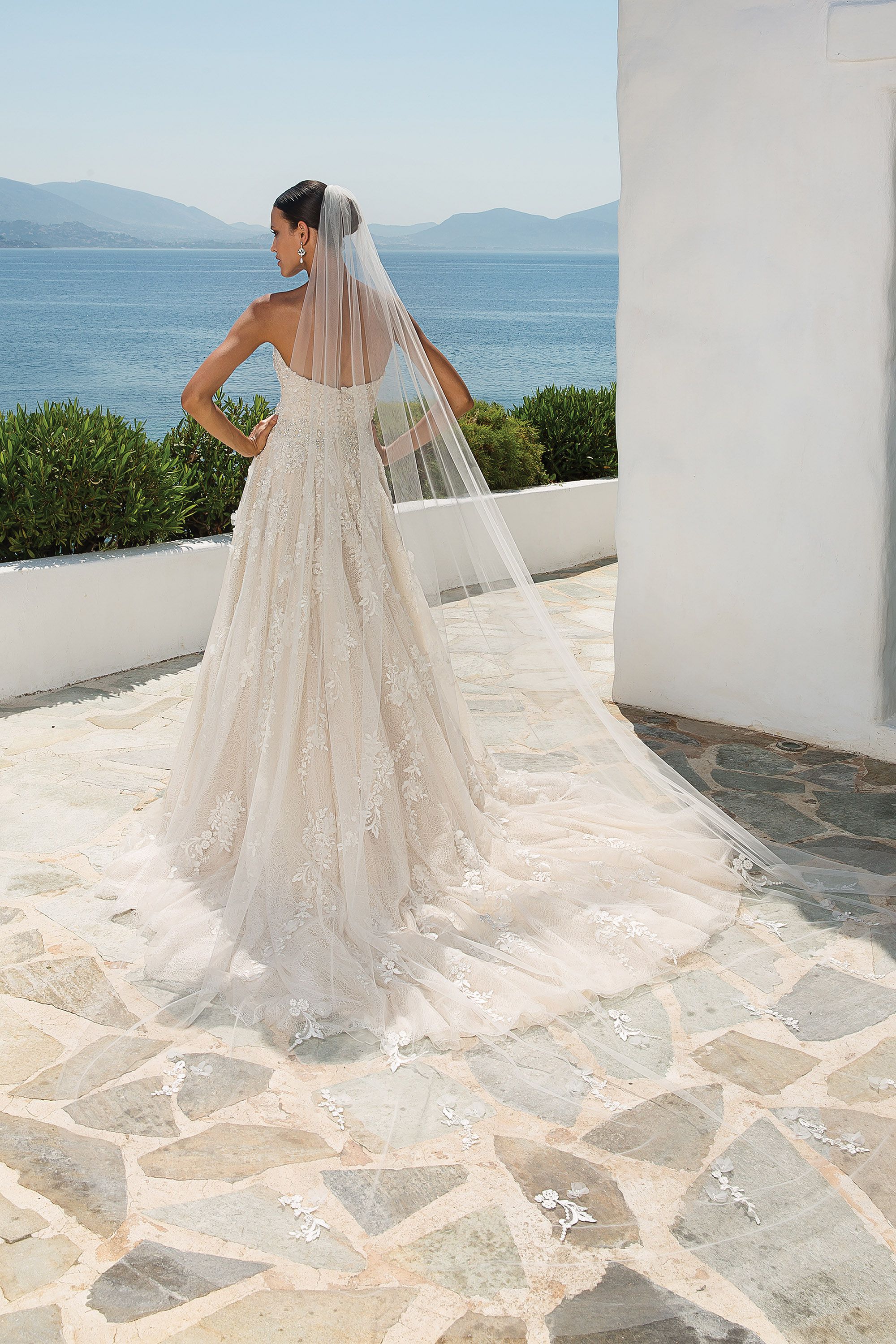 8921V: Delicate Cathedral Length Train with Lace Appliques | Justin ...